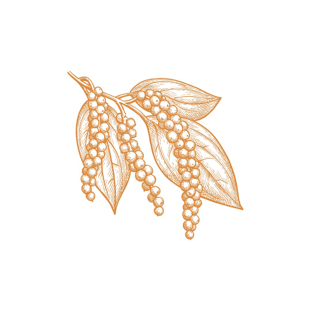 Collections – Total Ingredients