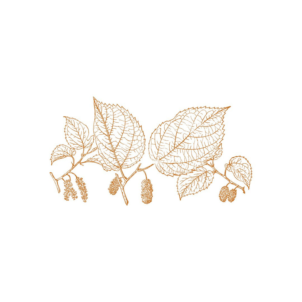 Explore Wide Range of Herbal & Organic products - Total Ingredients