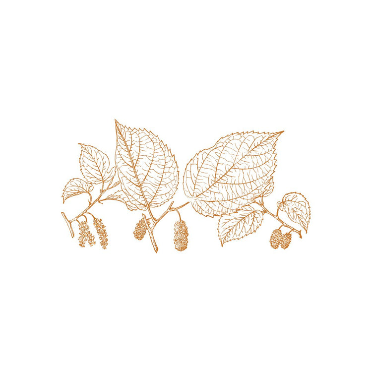 Explore Wide Range of Herbal & Organic products - Total Ingredients