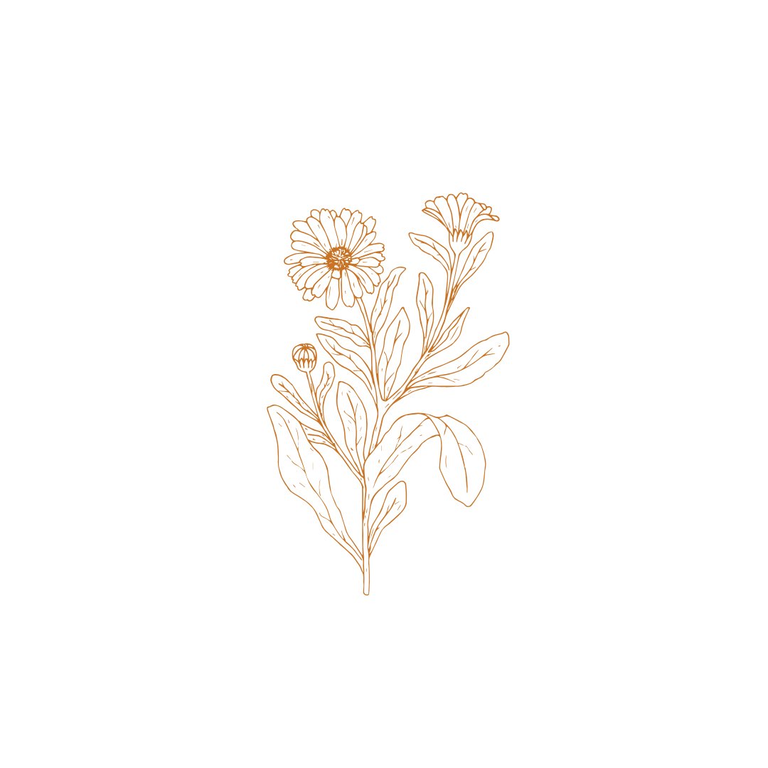 Explore Wide Range of Herbal & Organic products - Total Ingredients