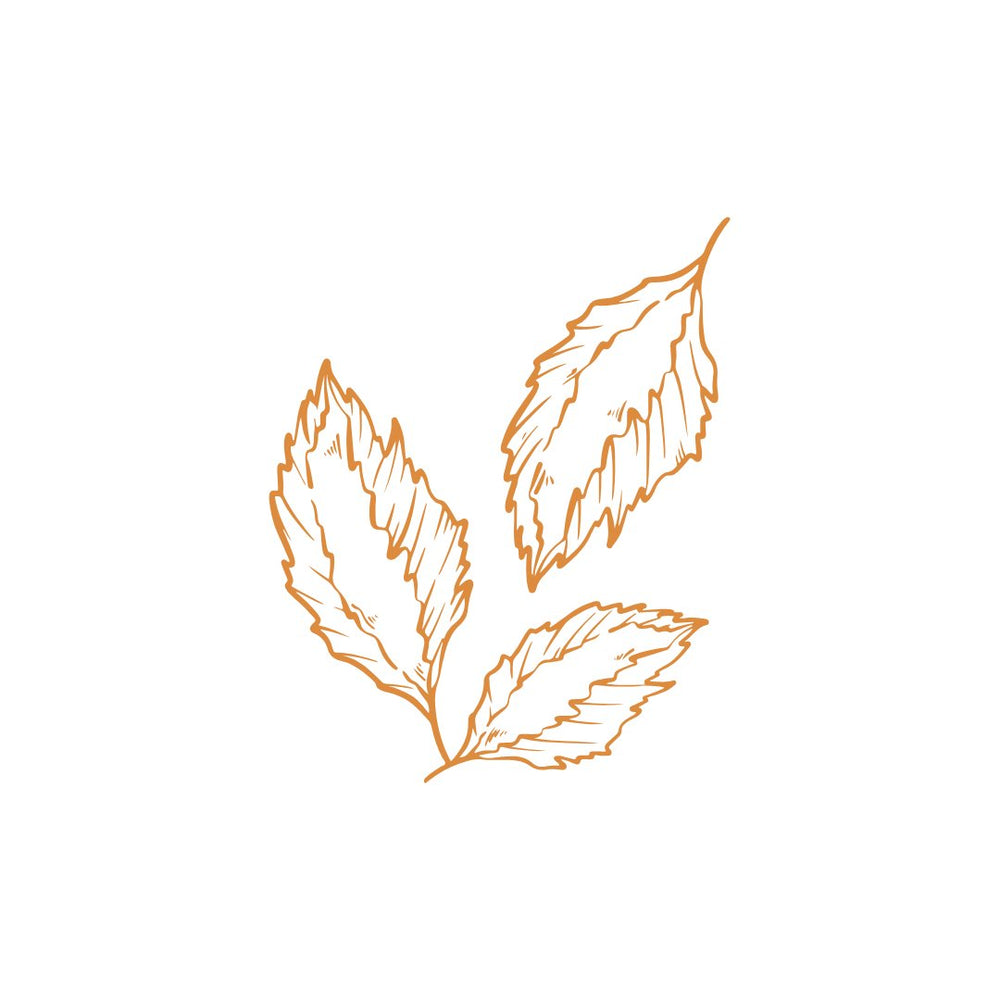 Explore Wide Range of Herbal & Organic products - Total Ingredients