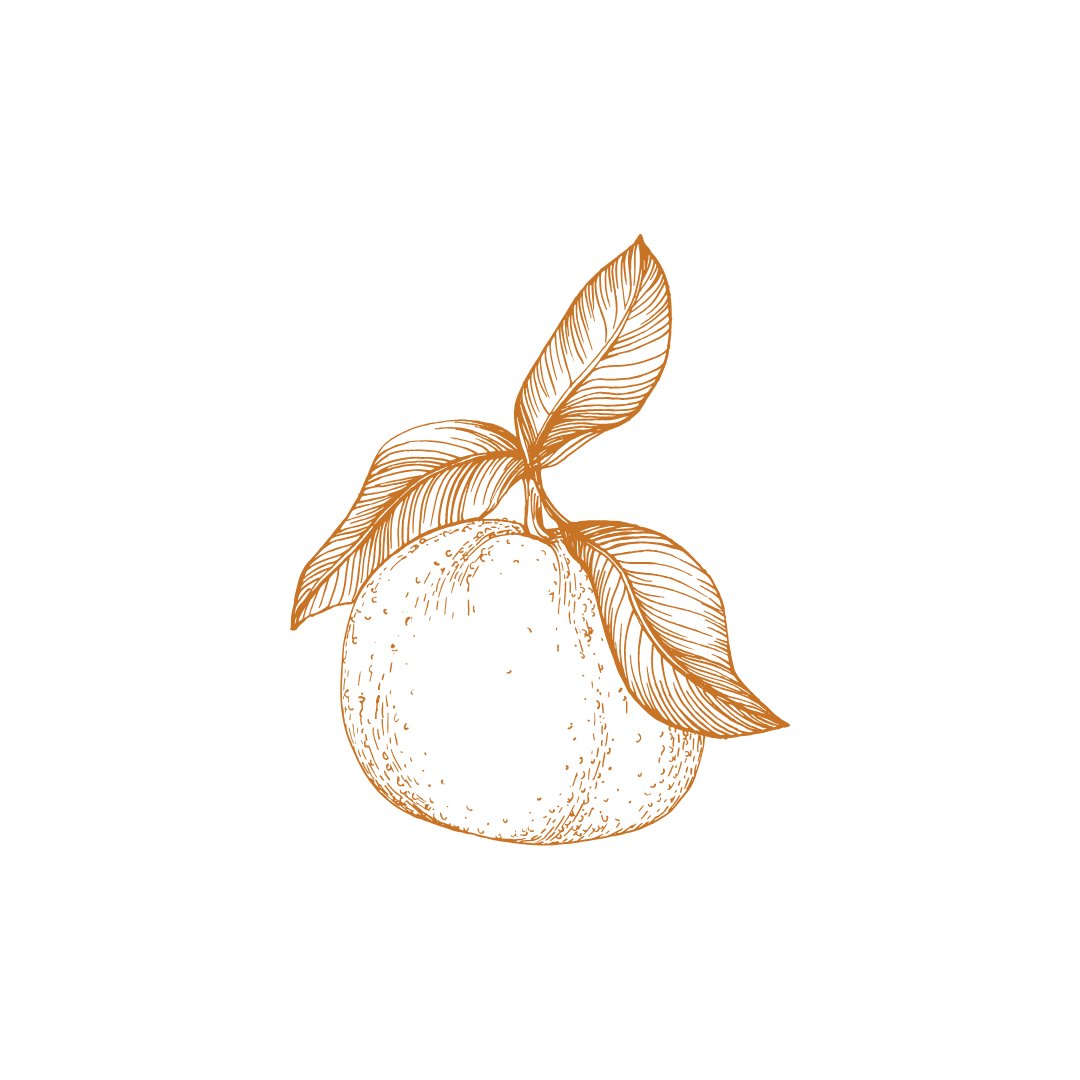 Explore Wide Range of Herbal & Organic products - Total Ingredients