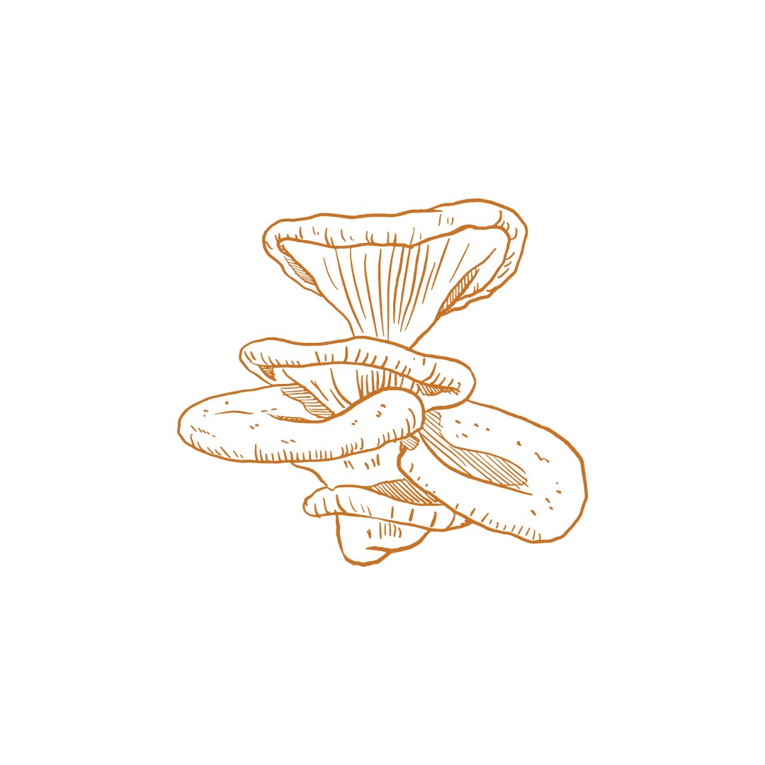 Explore Wide Range of Herbal & Organic products - Total Ingredients