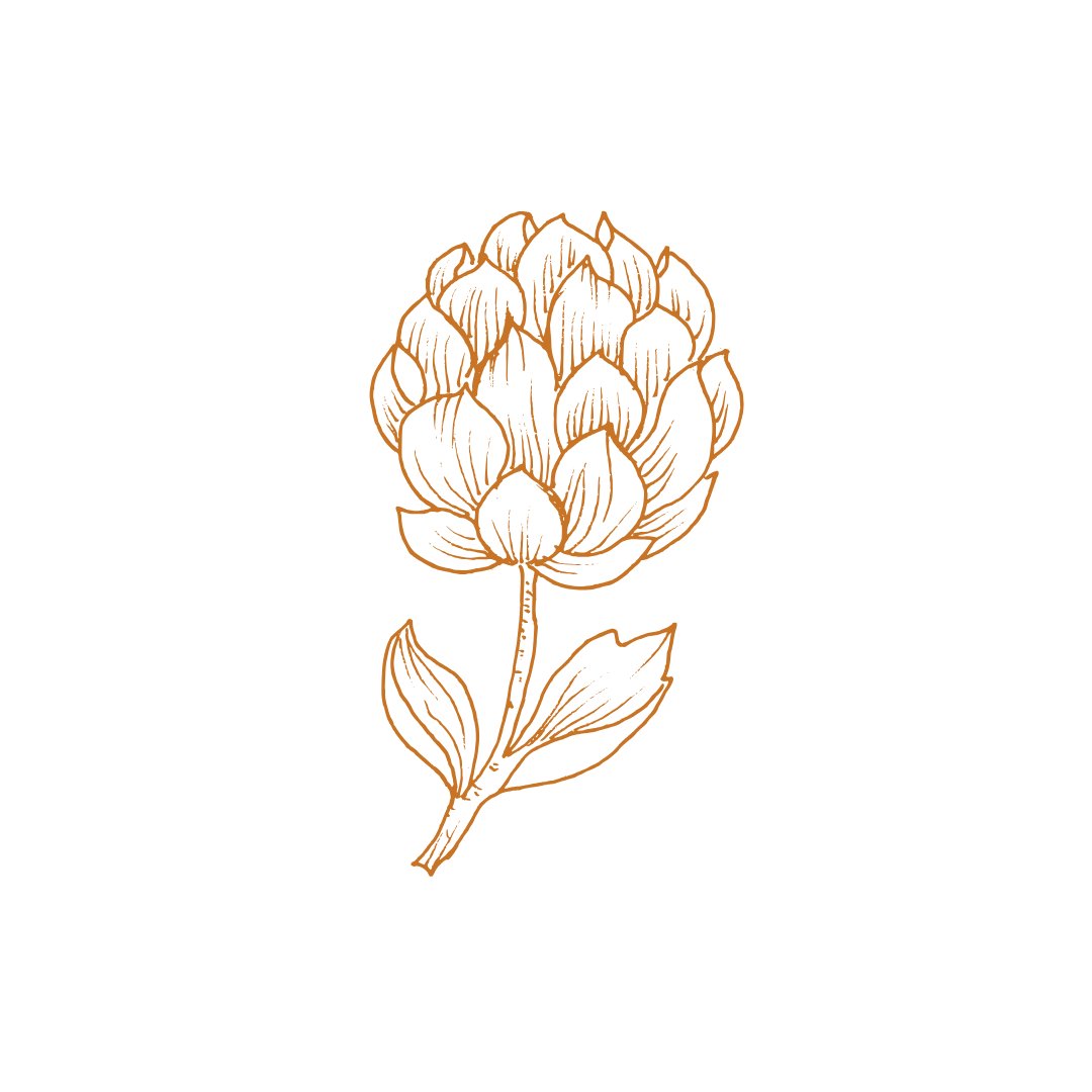 Explore Wide Range of Herbal & Organic products - Total Ingredients