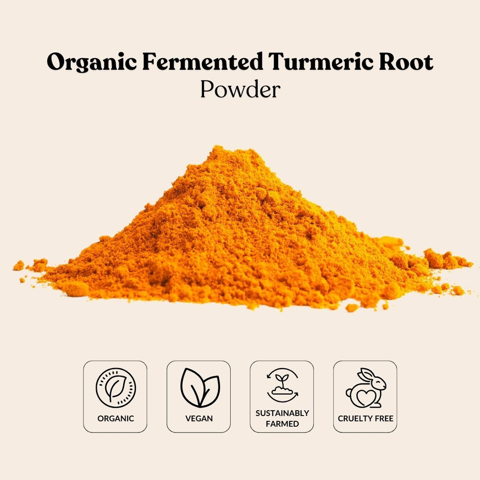Organic Fermented Turmeric Root Powder – Total Ingredients