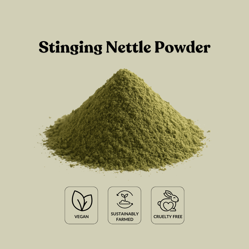 Stinging Nettle Powder – Total Ingredients