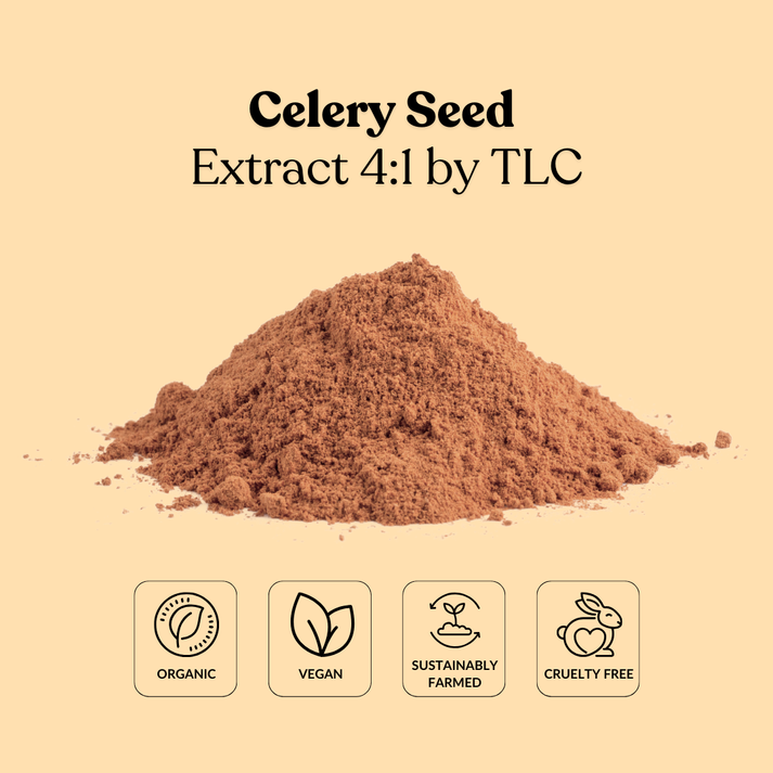 Celery Seed Extract 4:1 by TLC – Total Ingredients
