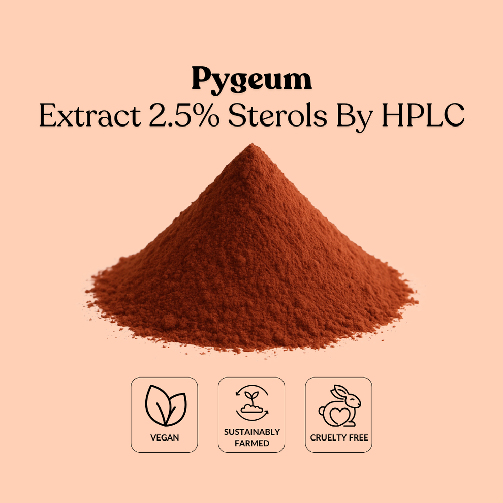Pygeum Extract 2.5% Sterols By HPLC – Total Ingredients