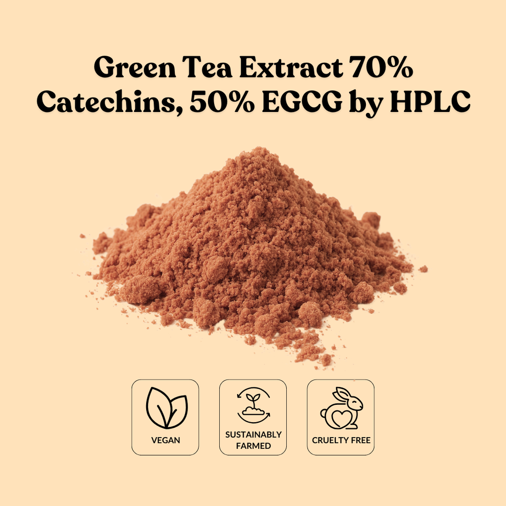 Green Tea Extract 70% Catechins, 50% EGCG by HPLC – Total Ingredients