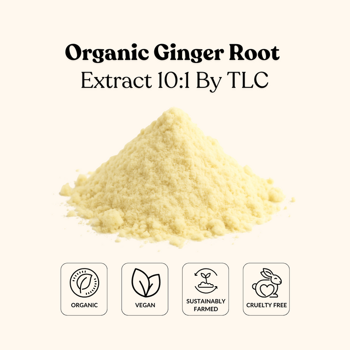 Organic Ginger Root Extract 10:1 By TLC – Total Ingredients