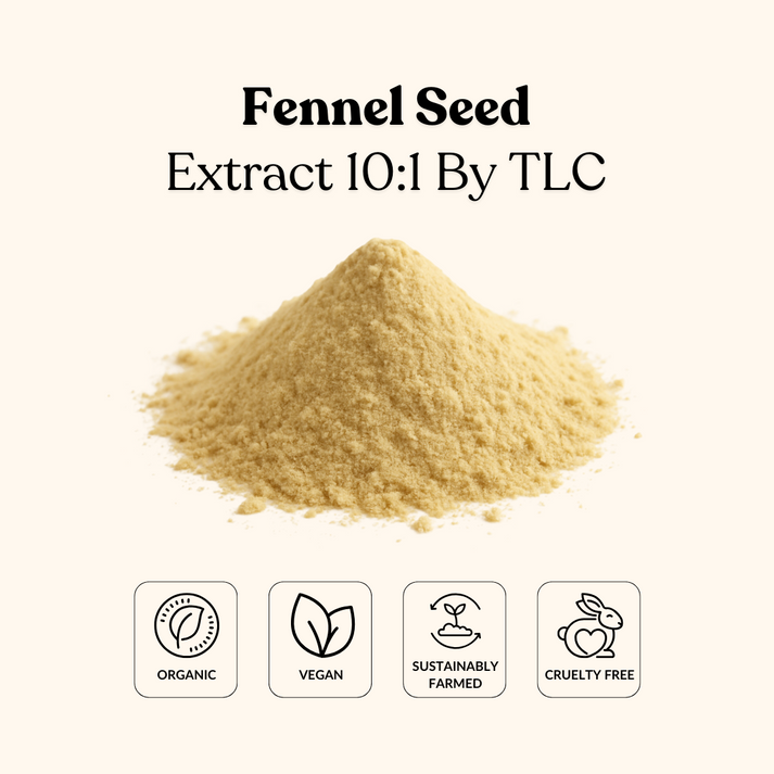 Fennel Seed Extract 10:1 By TLC – Total Ingredients