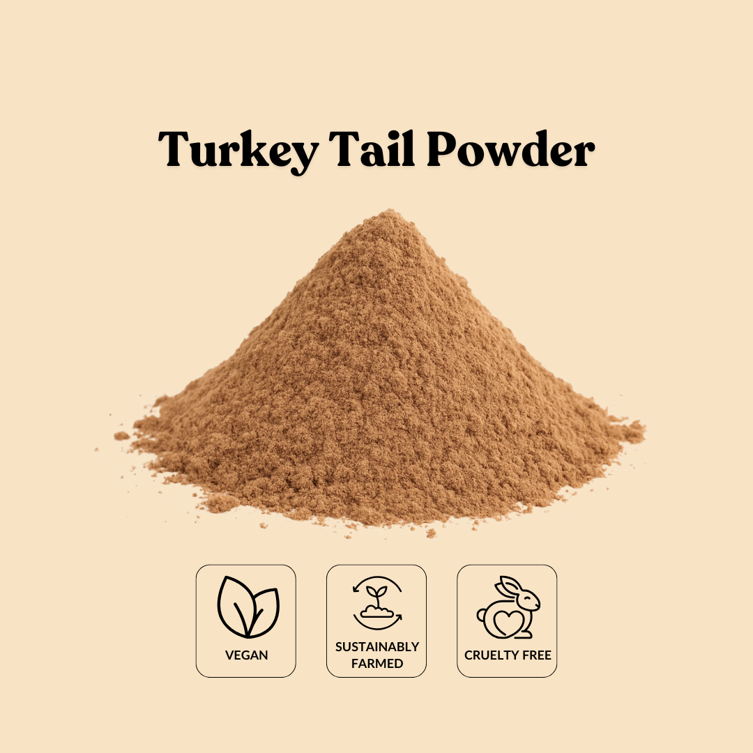 Turkey Tail Powder – Total Ingredients