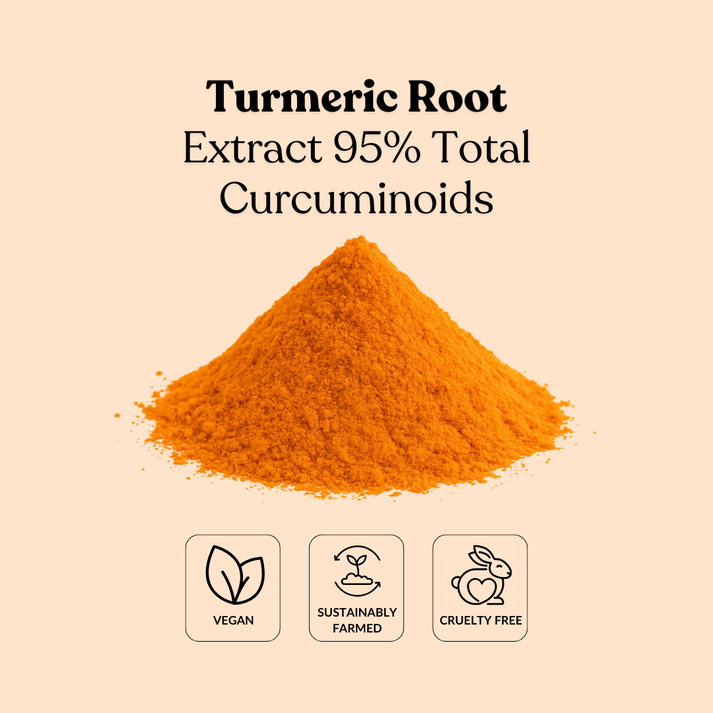 Turmeric Root Extract 95% Total Curcuminoids – Total Ingredients