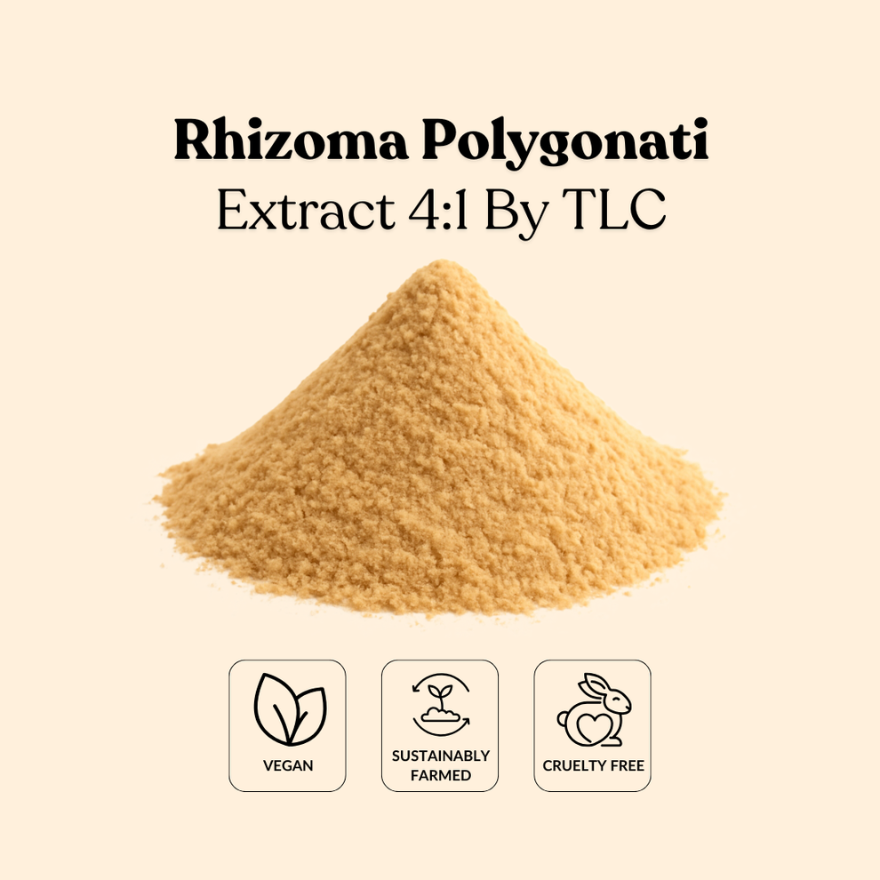 Rhizoma Polygonati Extract 4:1 By TLC – Total Ingredients