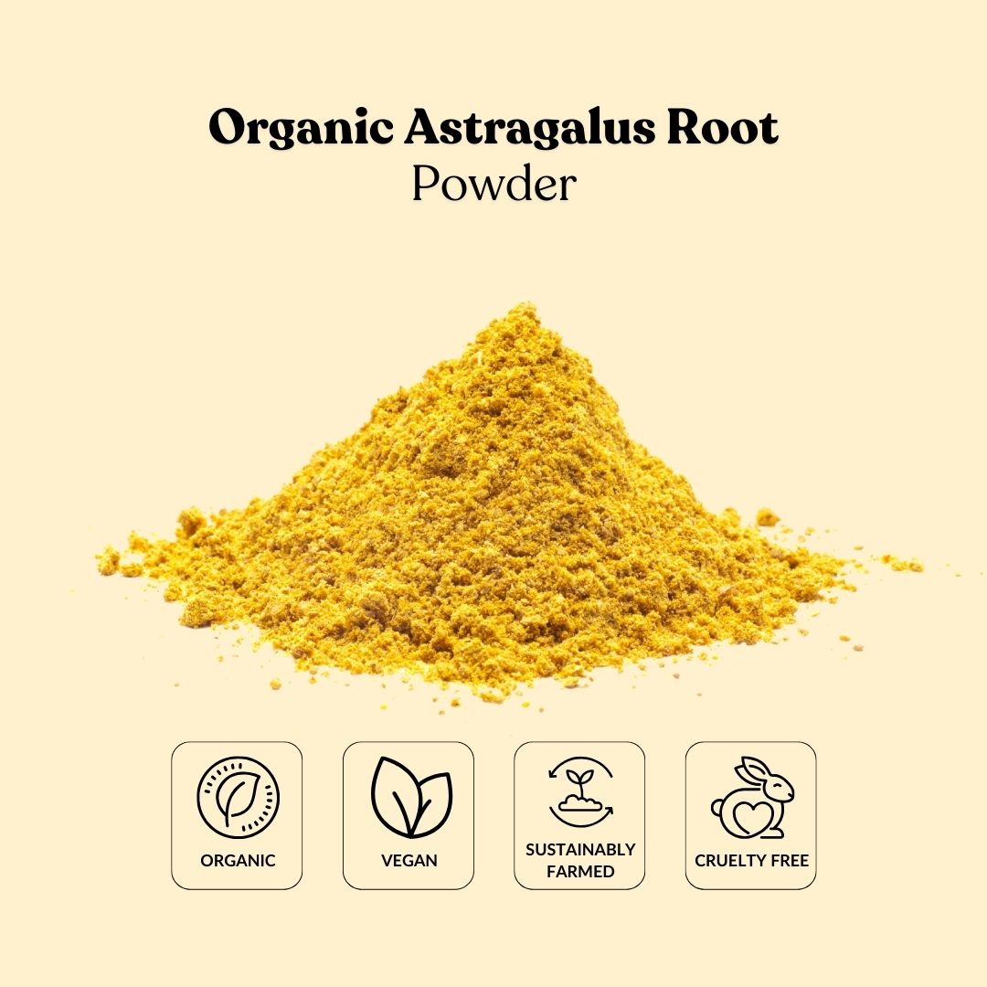 Organic Astragalus Root Powder – Total Ingredients