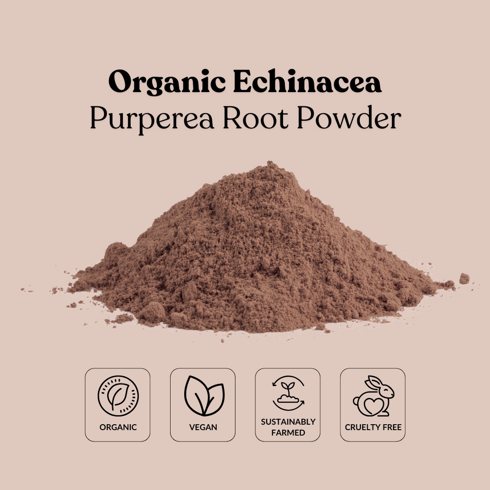 Organic Echinacea Purperea Root Powder – Total Ingredients