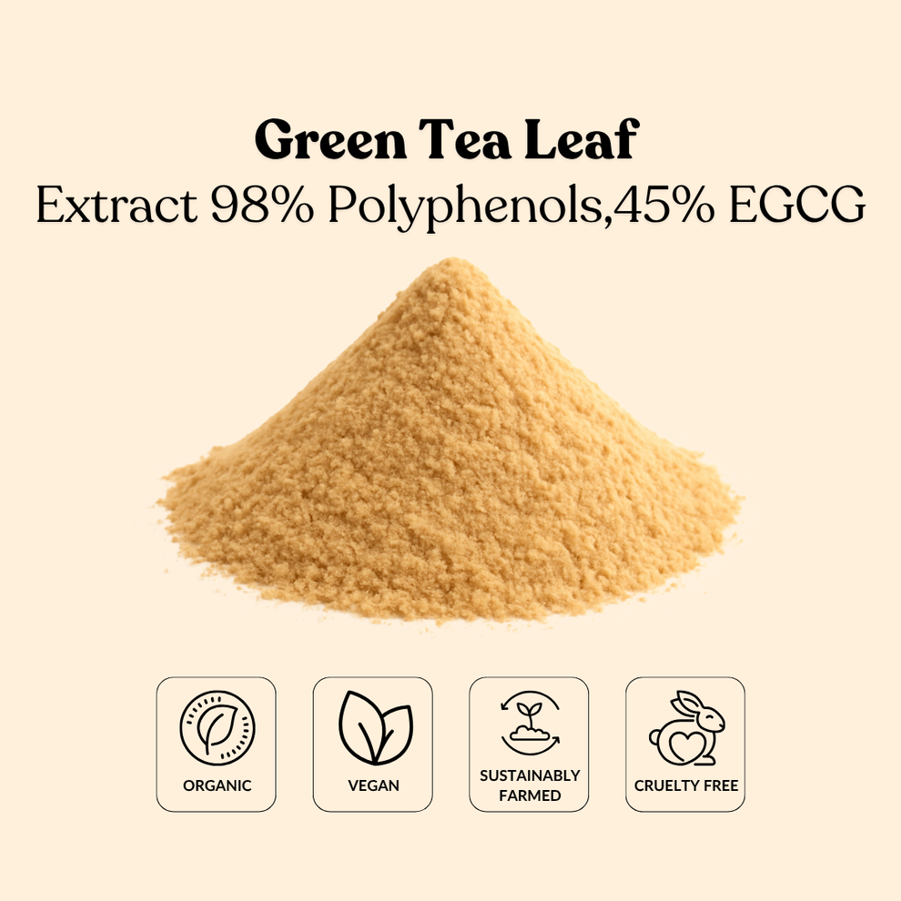 Green Tea Leaf Extract 98% Polyphenols,45% EGCG – Total Ingredients