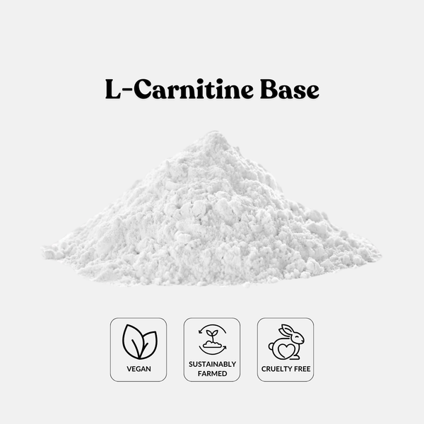 L-Carnitine Base – Total Ingredients