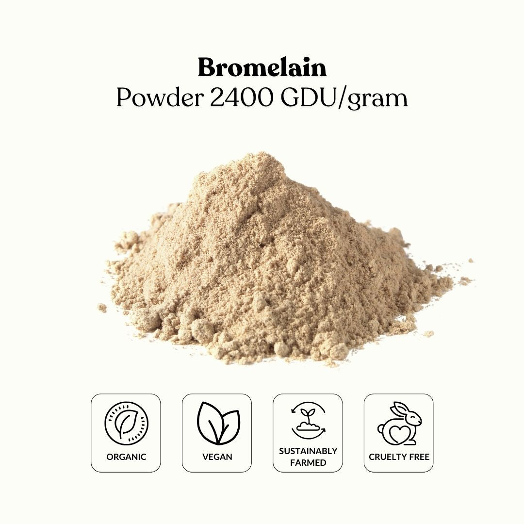 Bromelain Powder 2400 GDU/gram – Total Ingredients