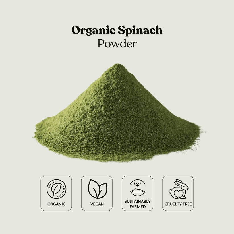 Organic Spinach Powder – Total Ingredients