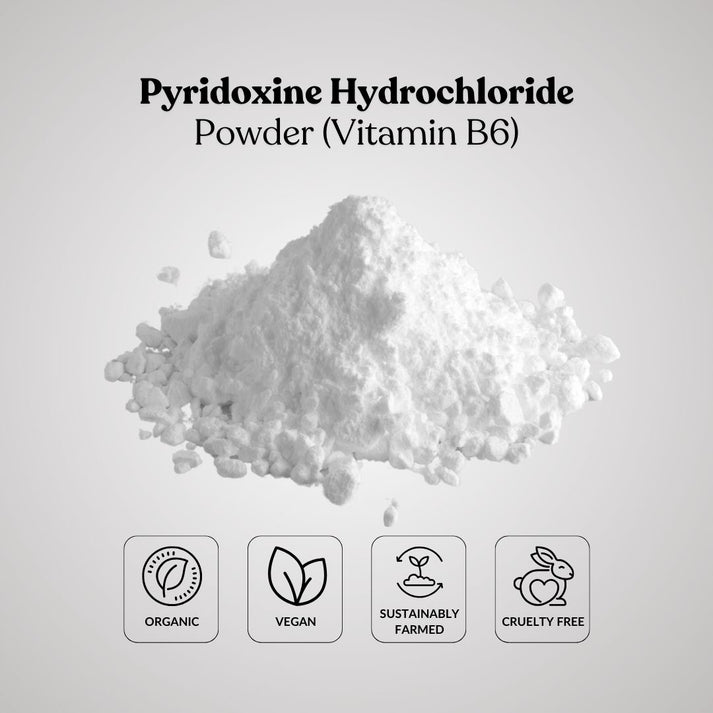 Pyridoxine Hydrochloride Powder (Vitamin B6) – Total Ingredients