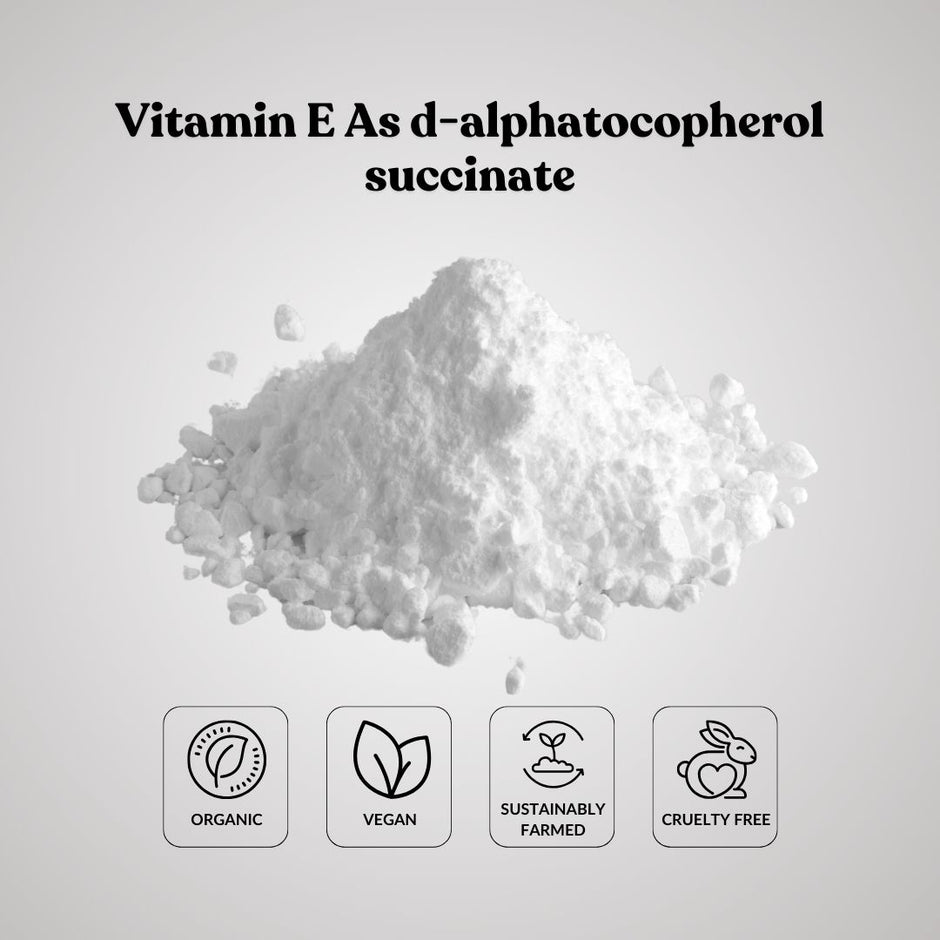 Best Wholesale Herbs Manufacturer in USA – Total Ingredients