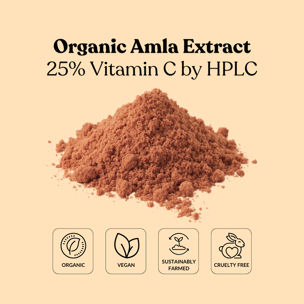 Organic Amla Extract 25% Vitamin C by HPLC – Total Ingredients
