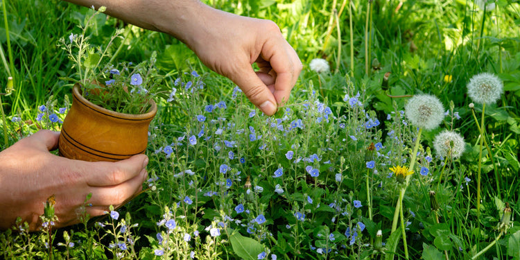 About Total Ingredients: Our Brand Story & Commitment