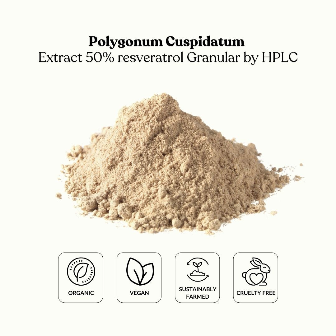 Polygonum Cuspidatum Extract 50% resveratrol Granular by HPLC – Total ...