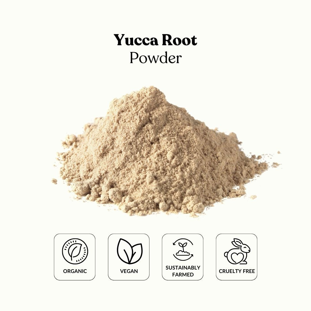 Yucca Root Powder – Total Ingredients