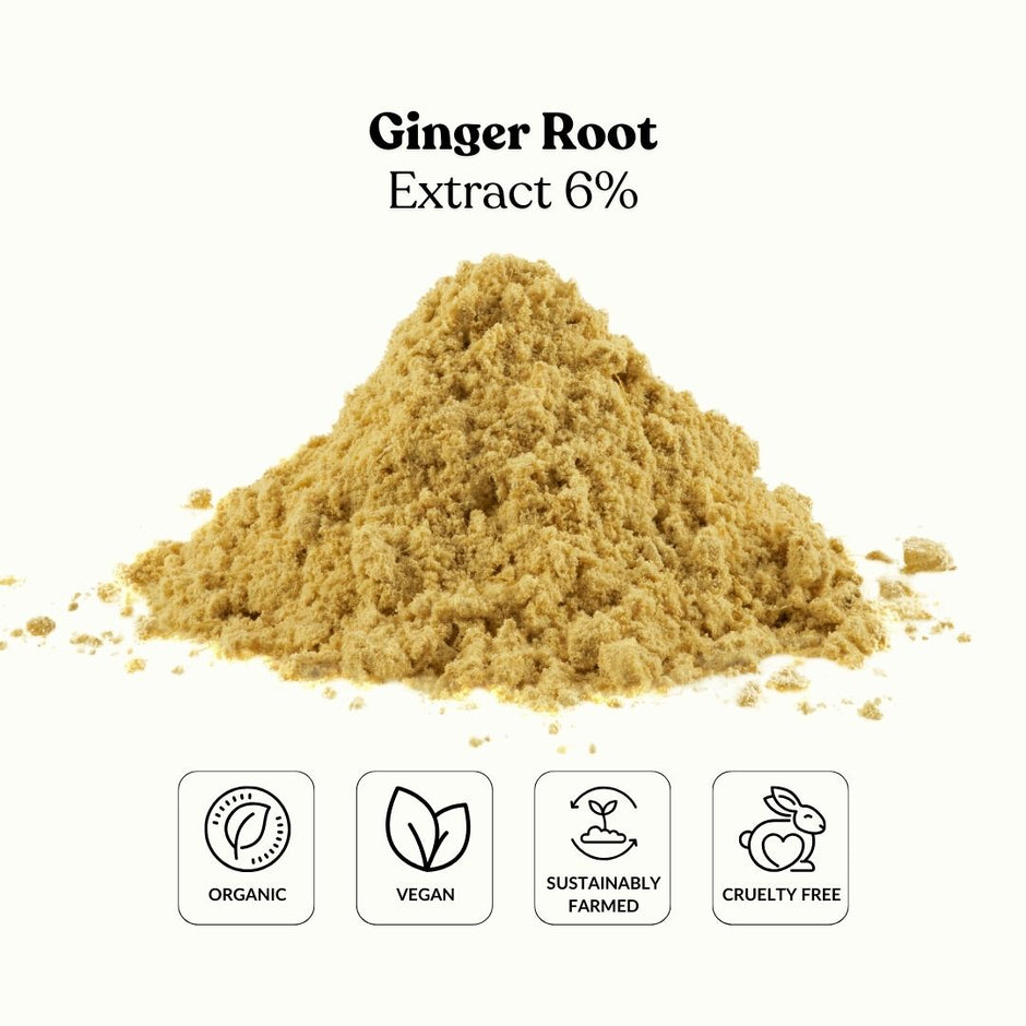 Best Wholesale Herbs Manufacturer in USA – Total Ingredients