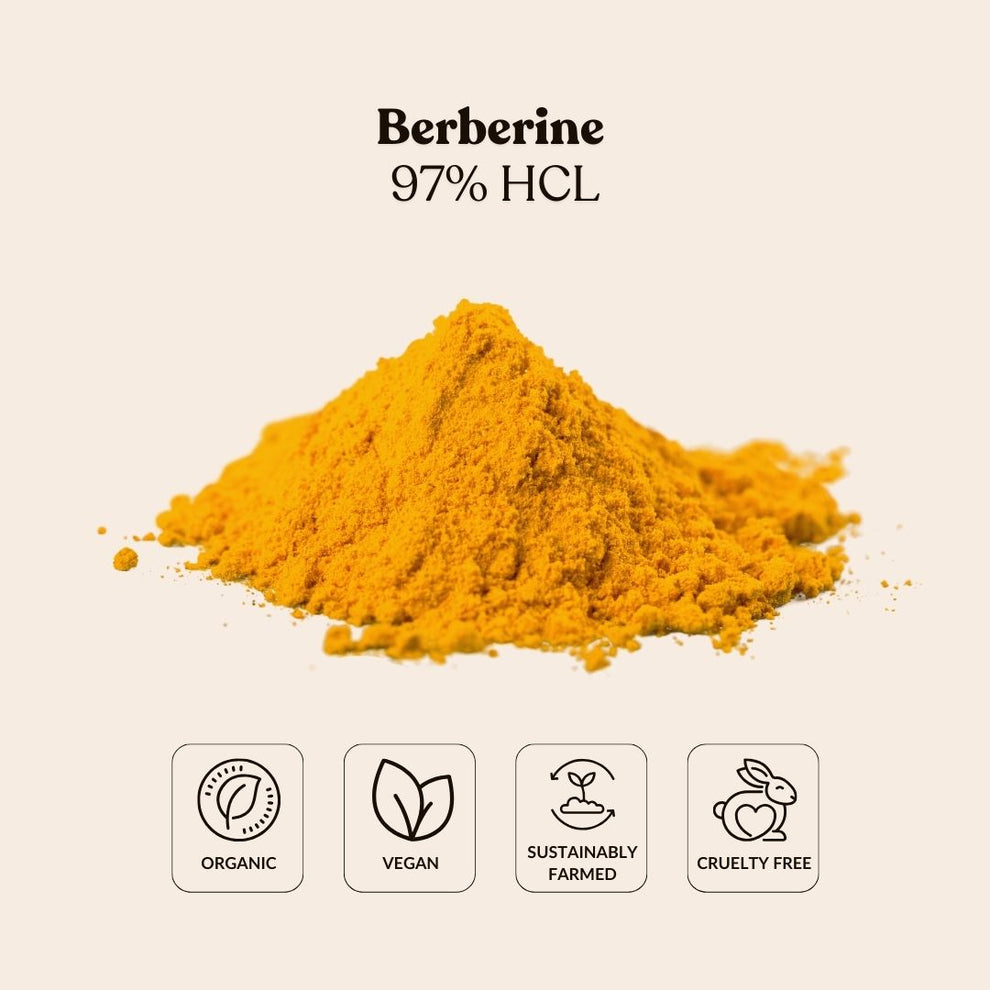 Berberine 97% HCL – Total Ingredients