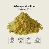 Best Wholesale Herbs Manufacturer in USA – Total Ingredients