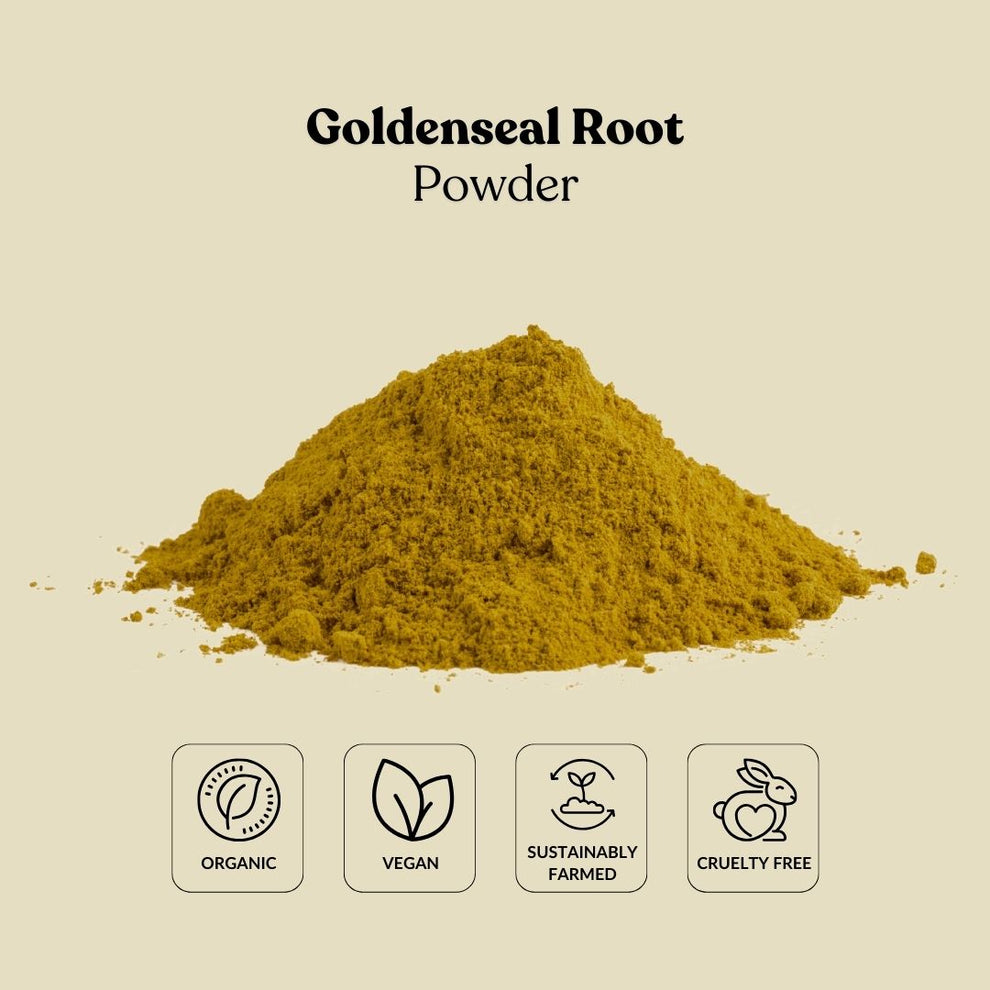 Goldenseal Root Powder – Total Ingredients