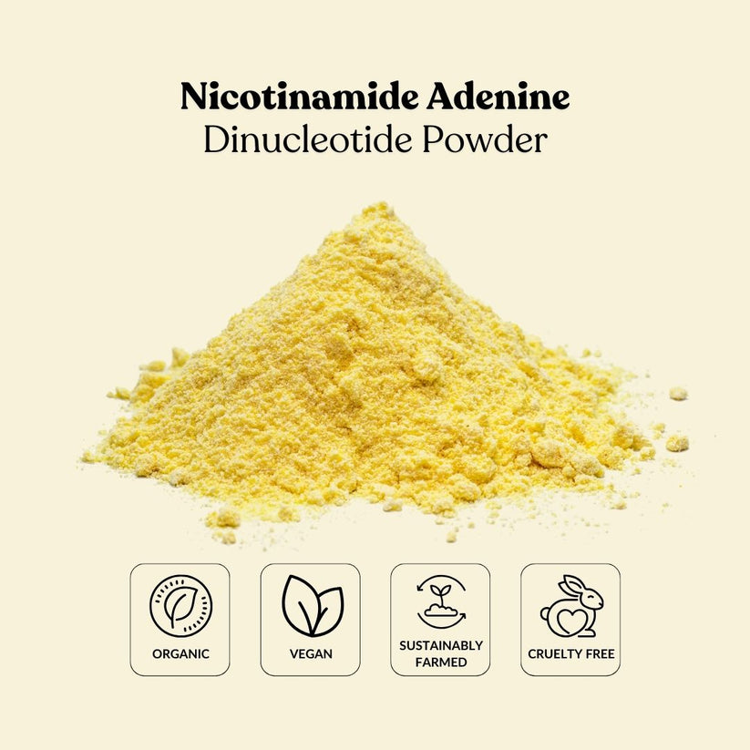 Nicotinamide Adenine Dinucleotide Powder – Total Ingredients