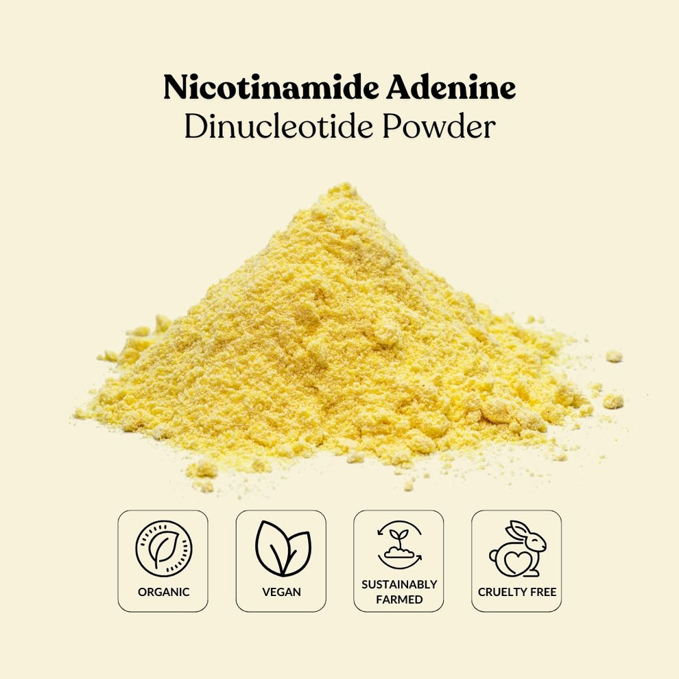 Nicotinamide Adenine Dinucleotide Powder – Total Ingredients