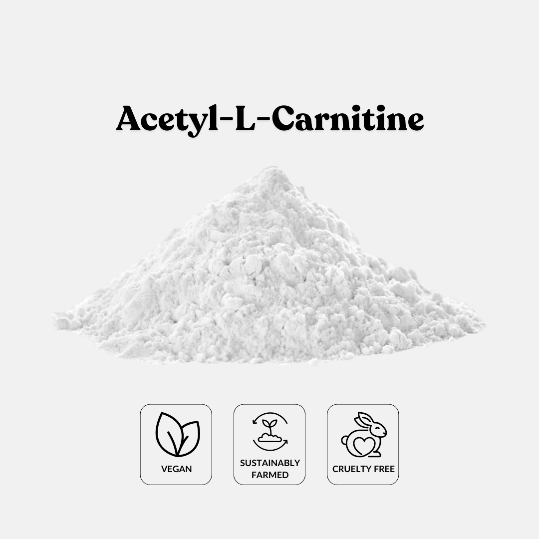 Acetyl-L-Carnitine – Total Ingredients