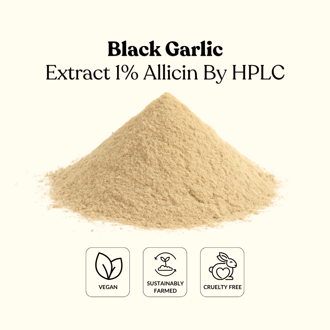 Black Garlic Extract 1% Allicin By HPLC – Total Ingredients
