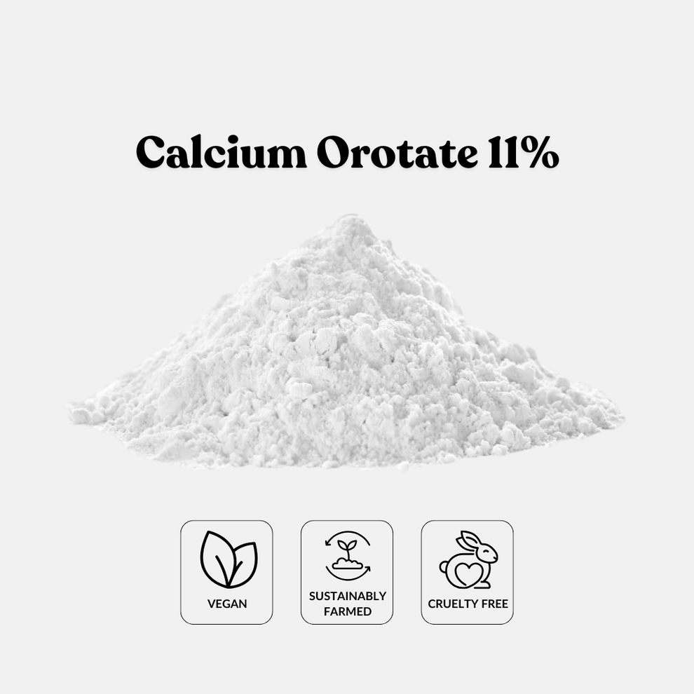 Calcium Orotate 11% – Total Ingredients