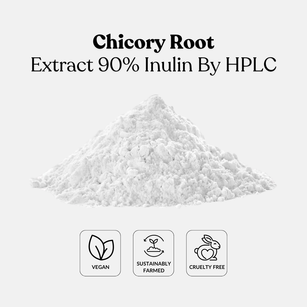 Chicory Root Extract 90% Inulin By HPLC – Total Ingredients