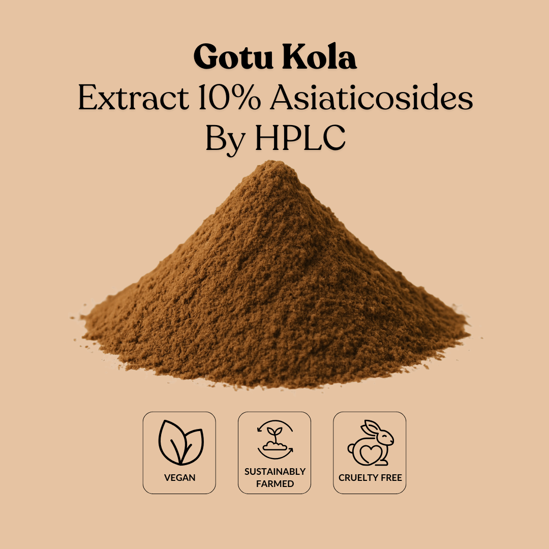 Gotu Kola Extract 10% Asiaticosides By HPLC – Total Ingredients