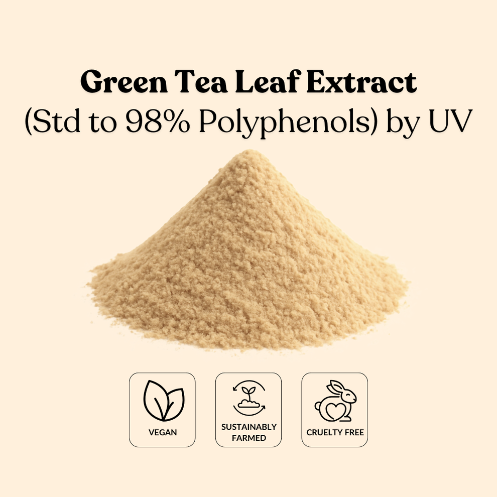 Green Tea Leaf Extract (Std to 98% Polyphenols) by UV – Total Ingredients