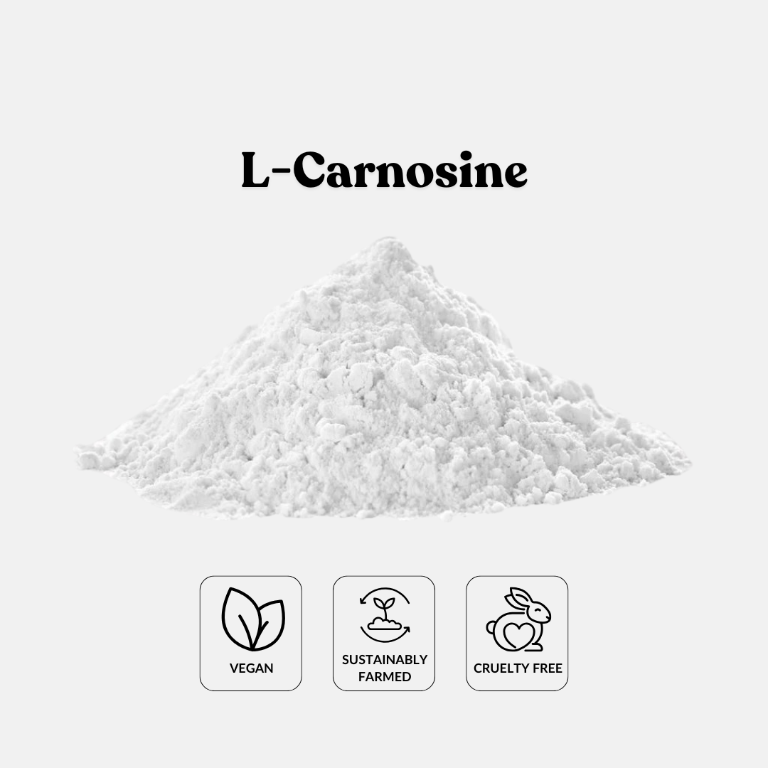 L-Carnosine – Total Ingredients