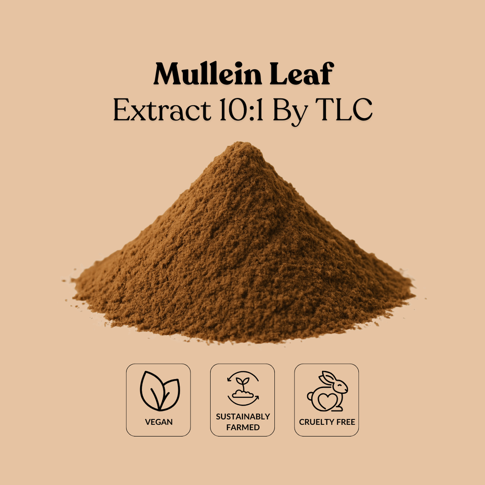 Mullein Leaf Extract 10:1 By TLC – Total Ingredients